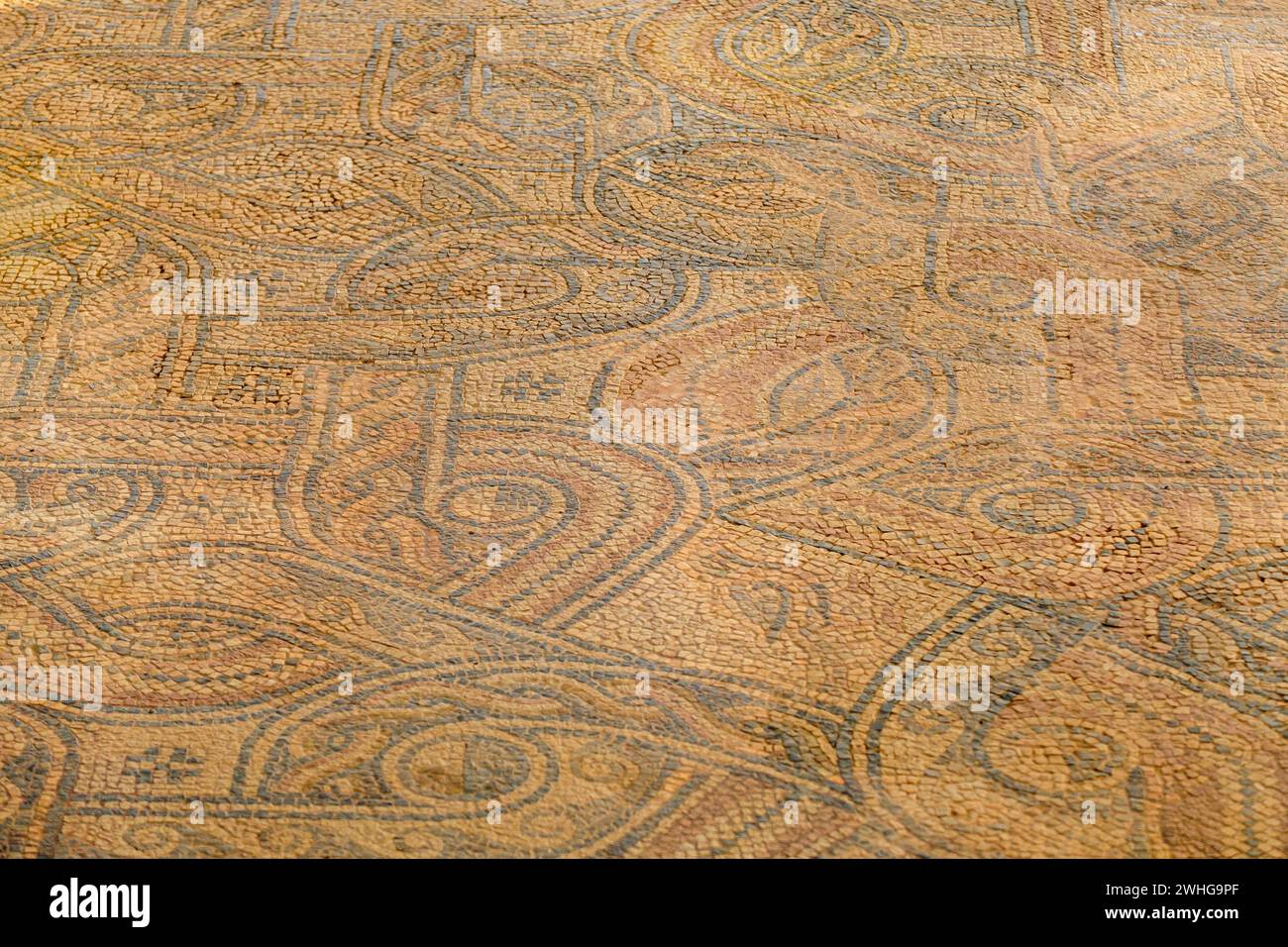 Basilica des Fornàs de Torelló, 5th and 6th centuries AD, Maó, Menorca ...