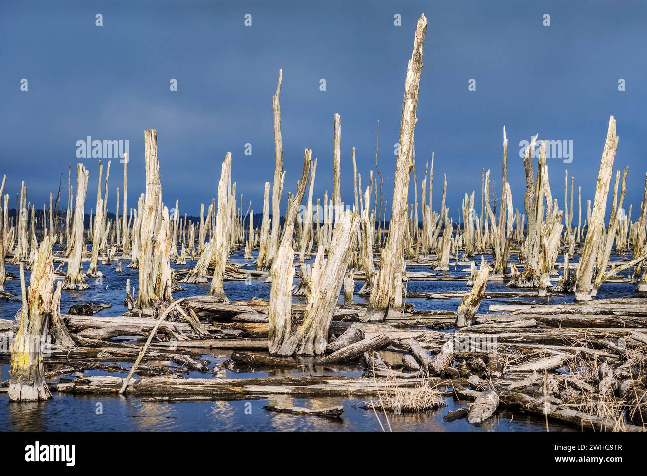 Preservation island conservation area hi-res stock photography and ...