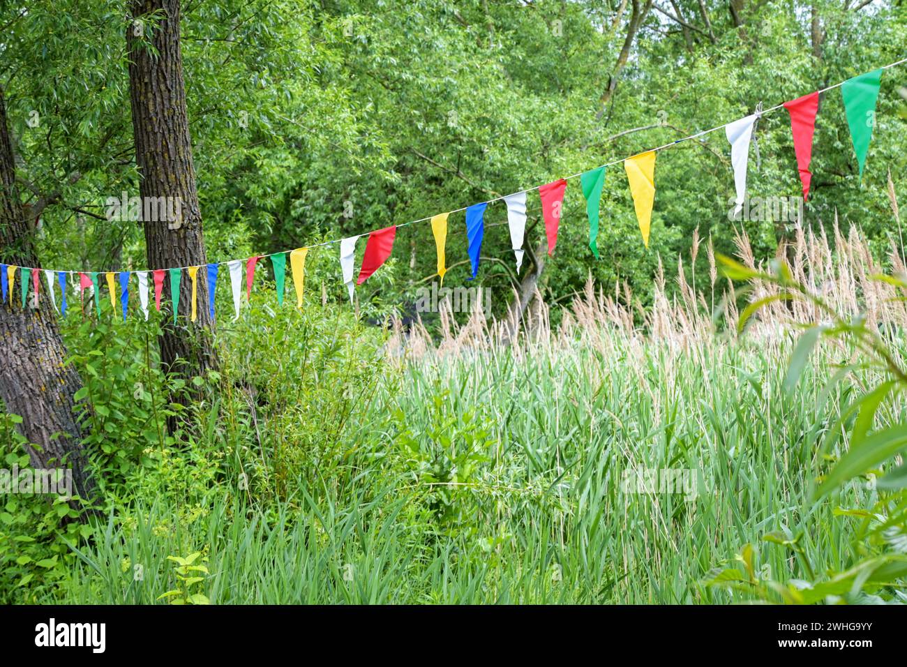 Hanging between trees hi-res stock photography and images - Alamy