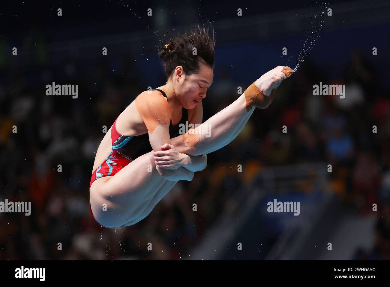 Doha, Qatar. 9th Feb, 2024. Yani Chang (CHN) Diving : World Aquatics ...