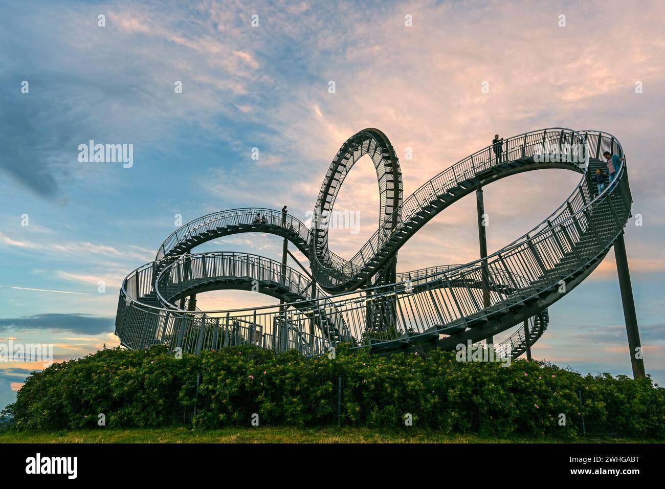 Tiger installation hi-res stock photography and images - Alamy