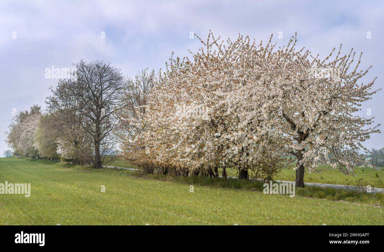 Nature study field group hi-res stock photography and images - Alamy