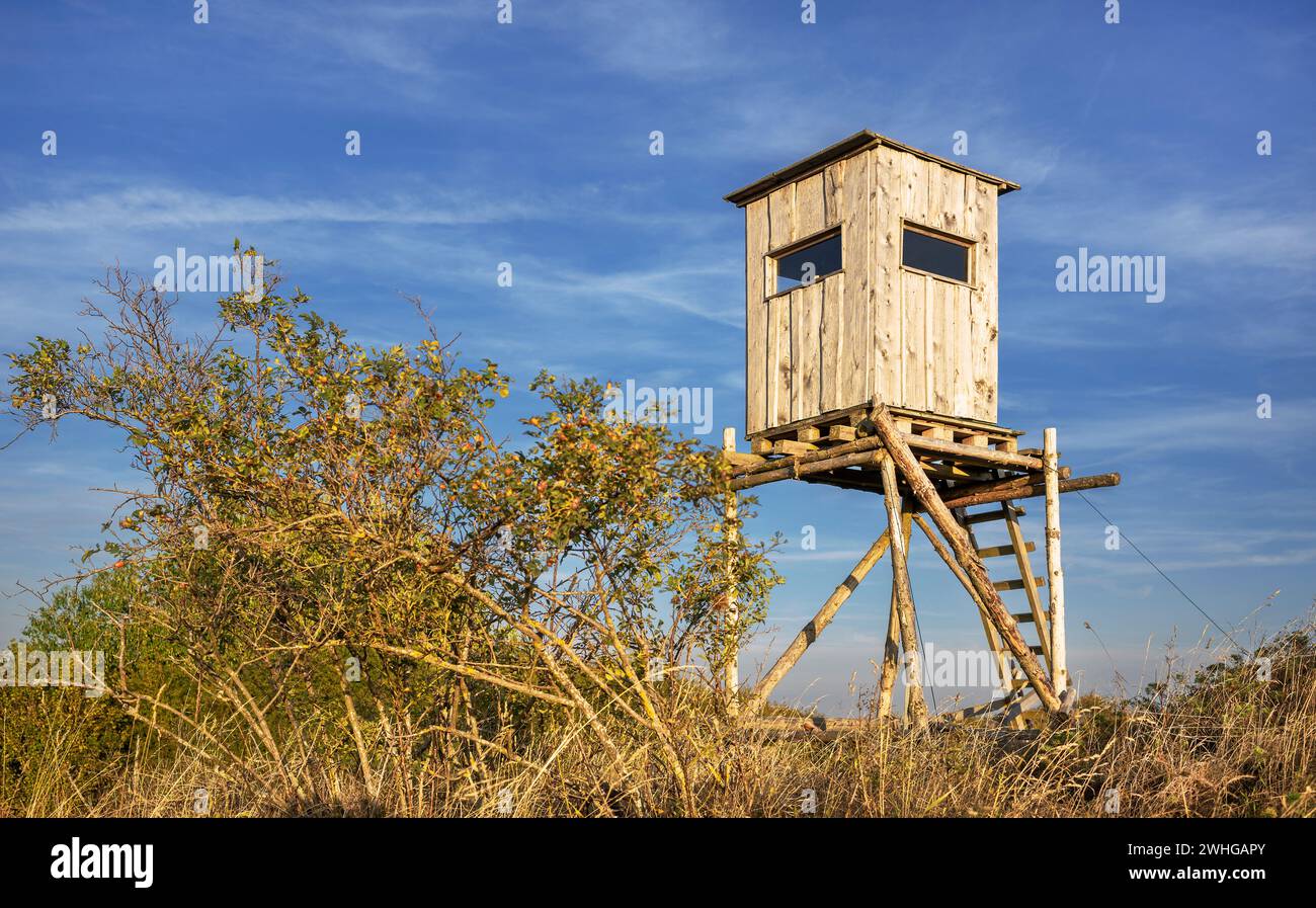 The raised hide Stock Photo - Alamy