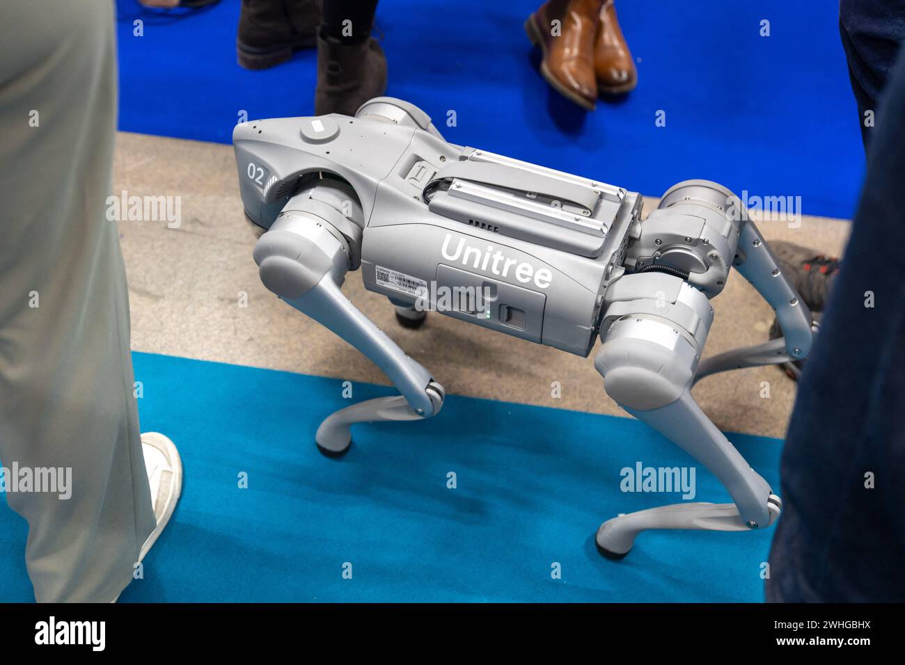 World artificial intelligence cannes festival 2024 hi-res stock photography and images - Alamy
