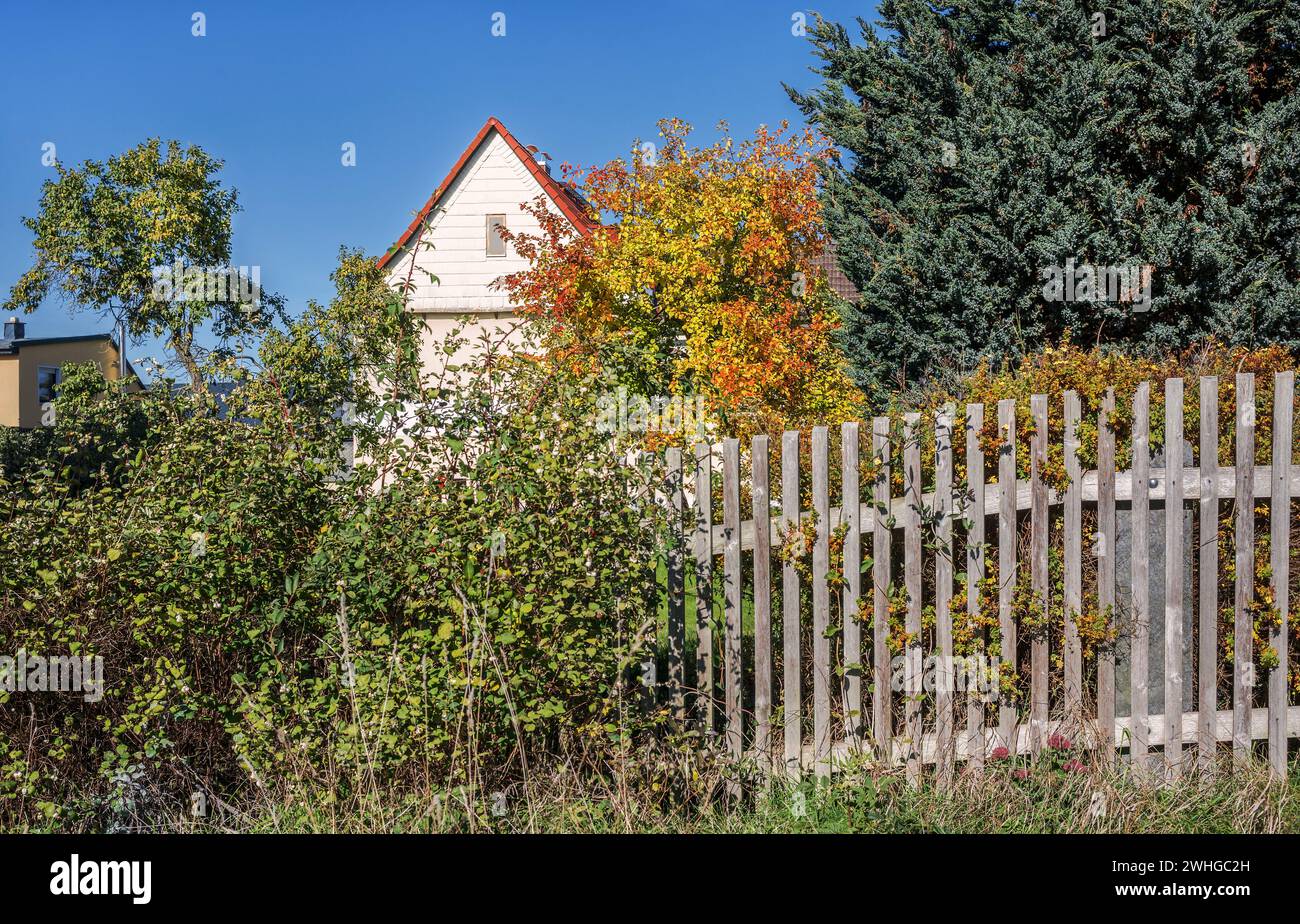 The houses behind the bushes Stock Photo - Alamy