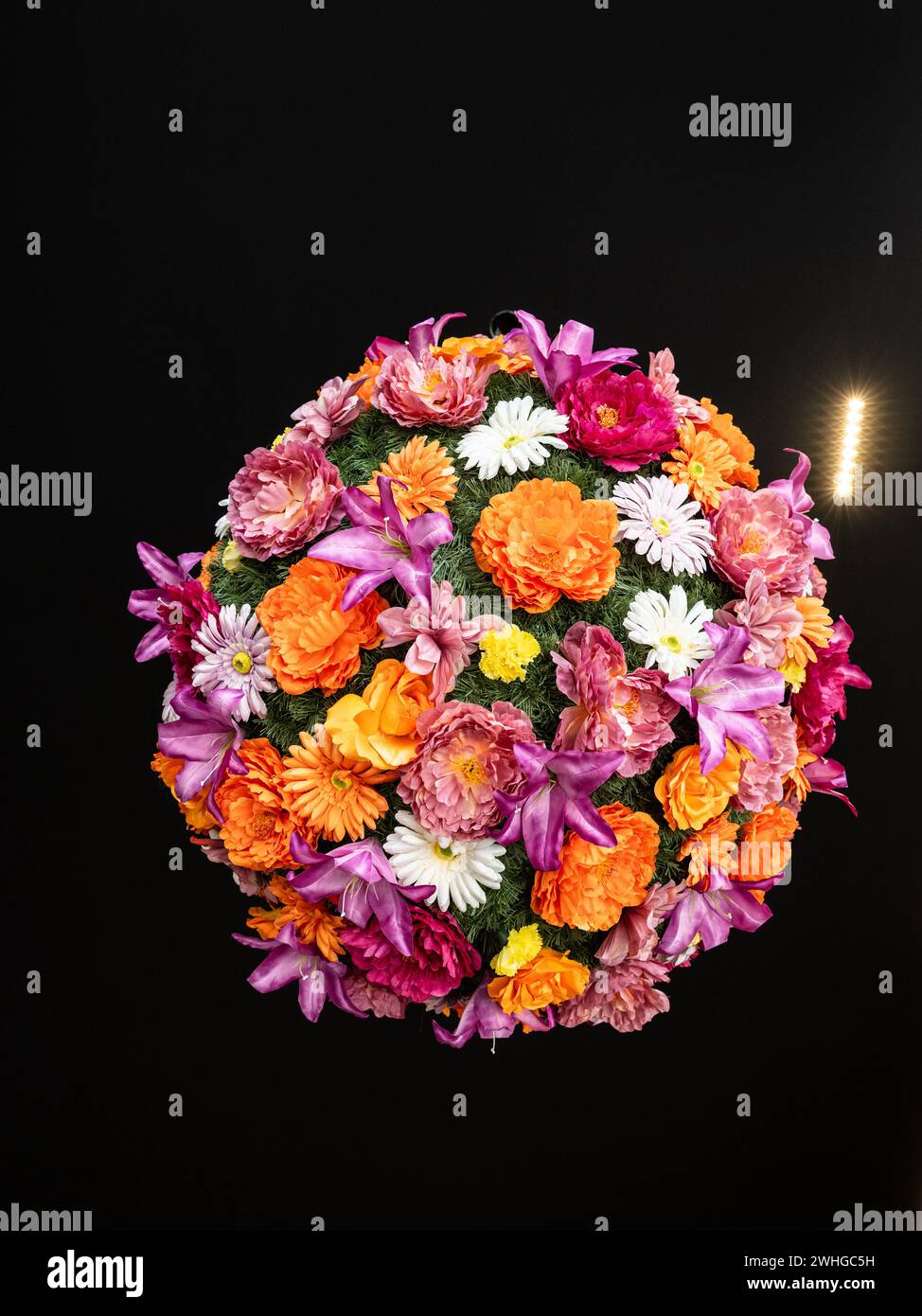 Blue flower symbol round hi-res stock photography and images - Alamy