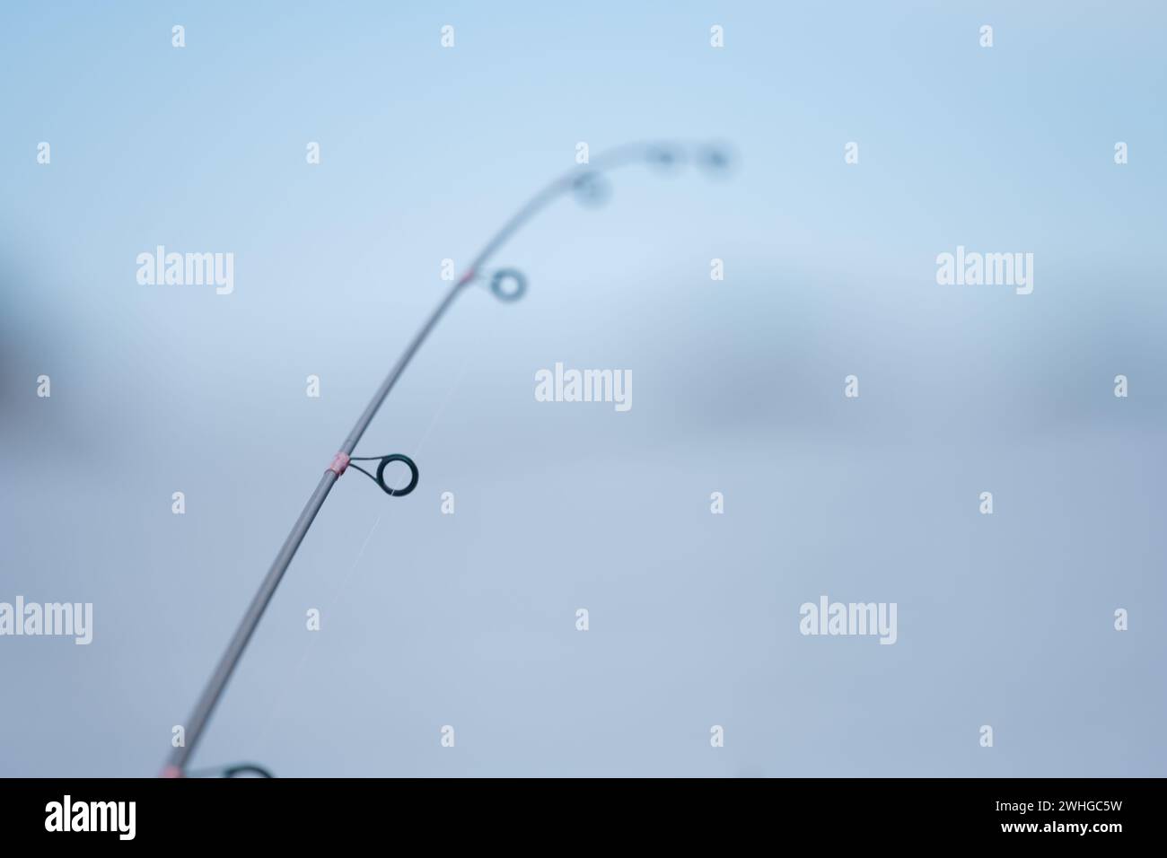 Shrimp on fish hook hi-res stock photography and images - Alamy