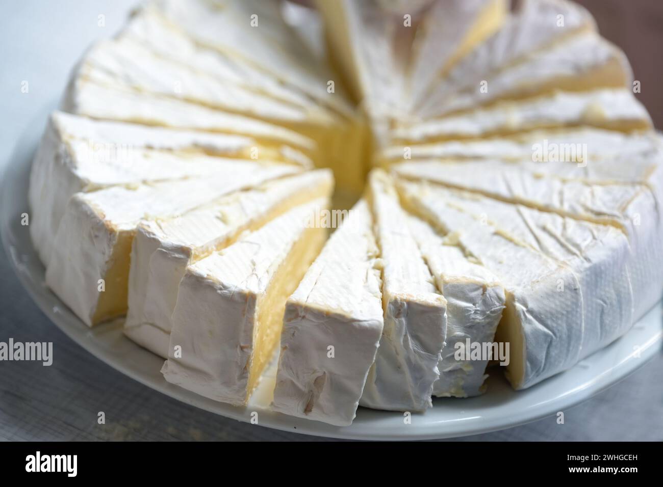 Large round camembert cheese cut into portions for a party buffet, copy ...