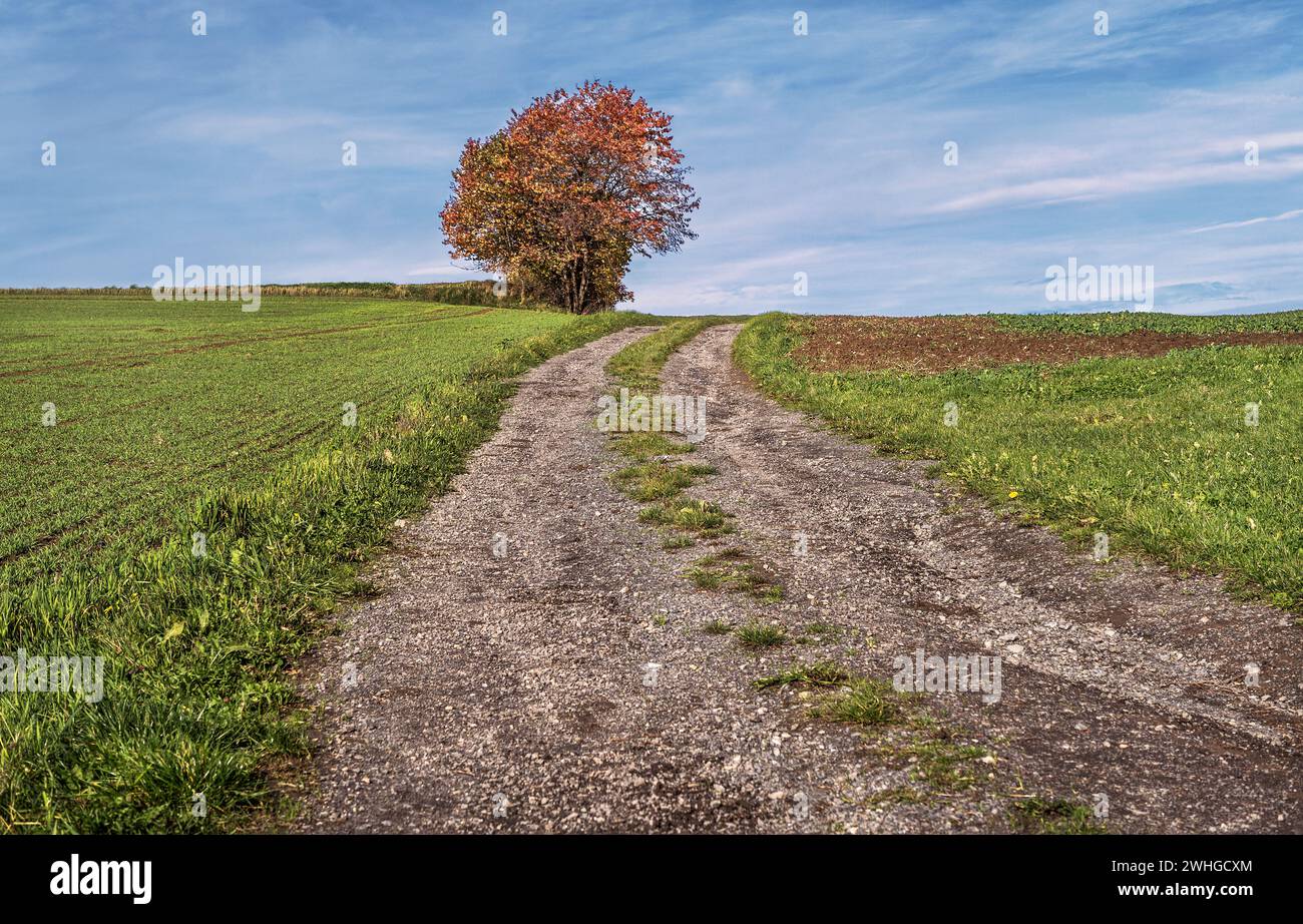 Unploughed road hi-res stock photography and images - Alamy
