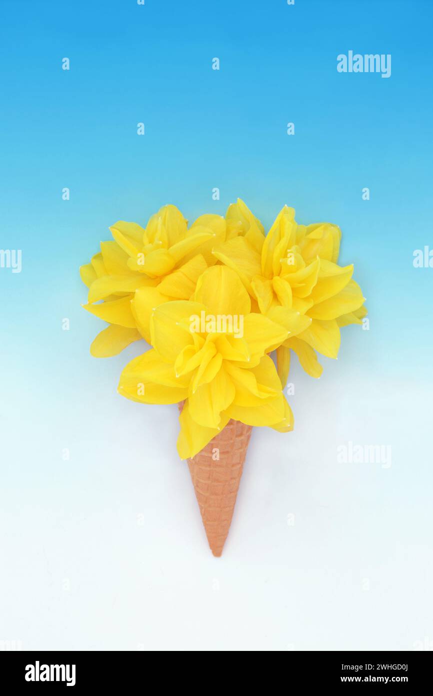 Surreal ice cream cone with spring and easter daffodil flowers on ...