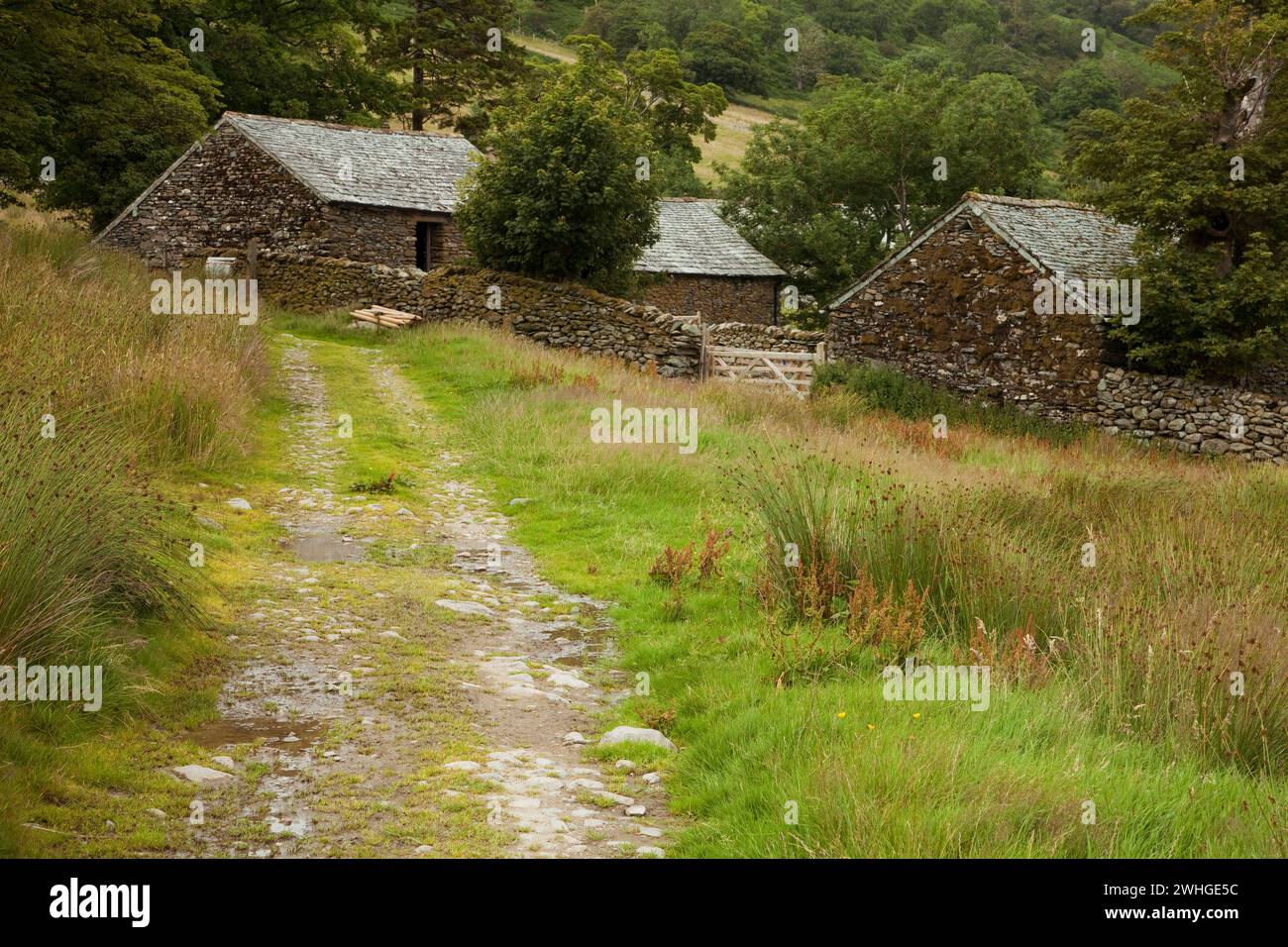 The farm at Swindale Head in the English Lake District, Cumbria, UK ...