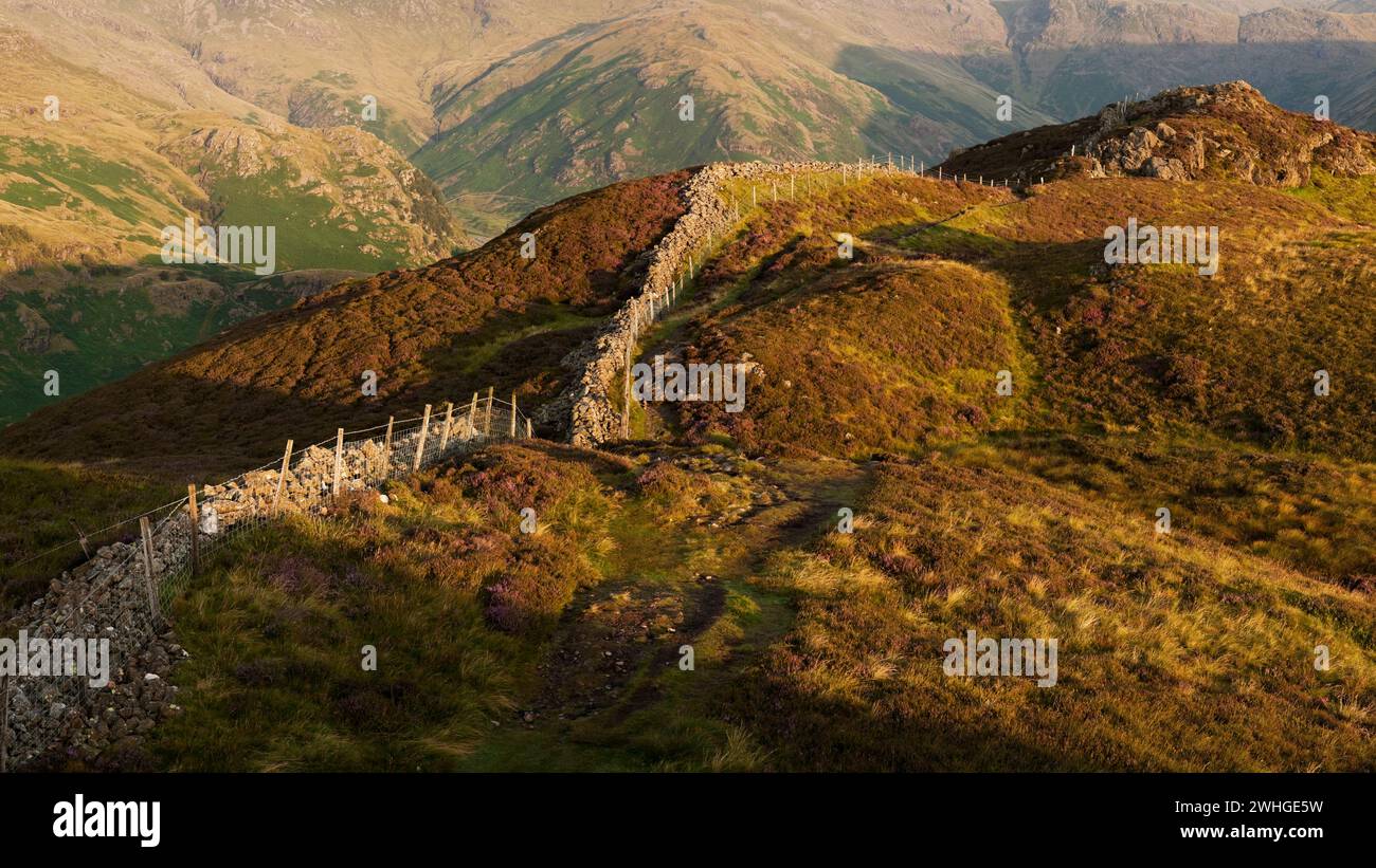 Dry stone wall running along the summit ridge of Lingmoor Fell, Lake ...