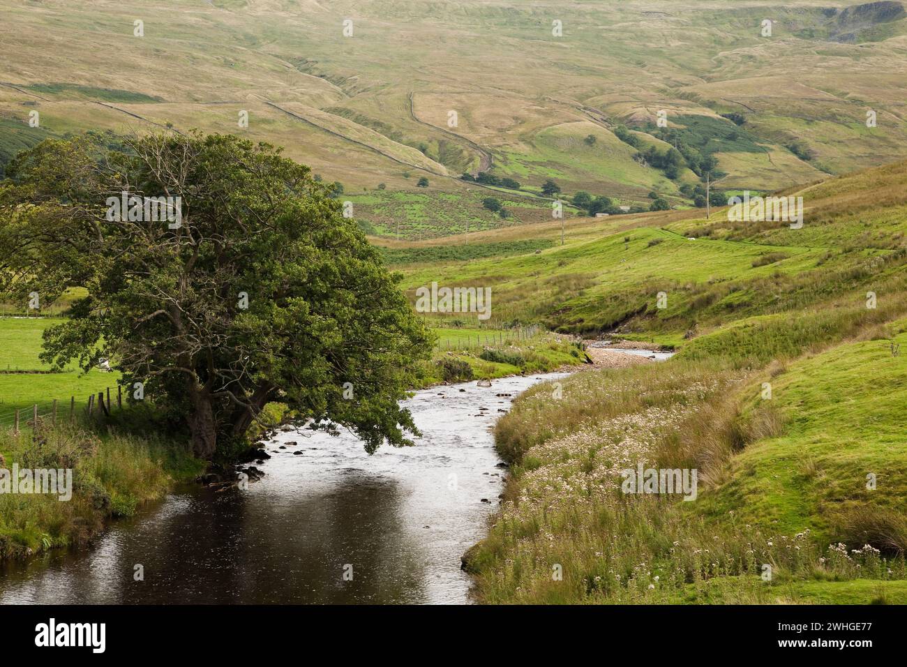 The River Eden in the Upper Eden Valley, Cumbria, UK Stock Photo - Alamy