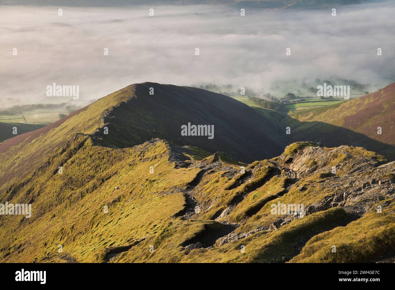 Hall's Fell and Hall's Fell Ridge from the summit of Blencathra, in the ...