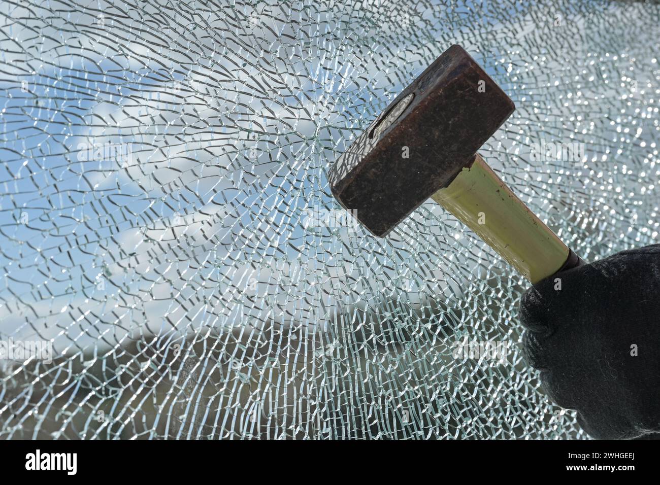 Gloved hands of a criminal destroying a laminated glass window with a ...