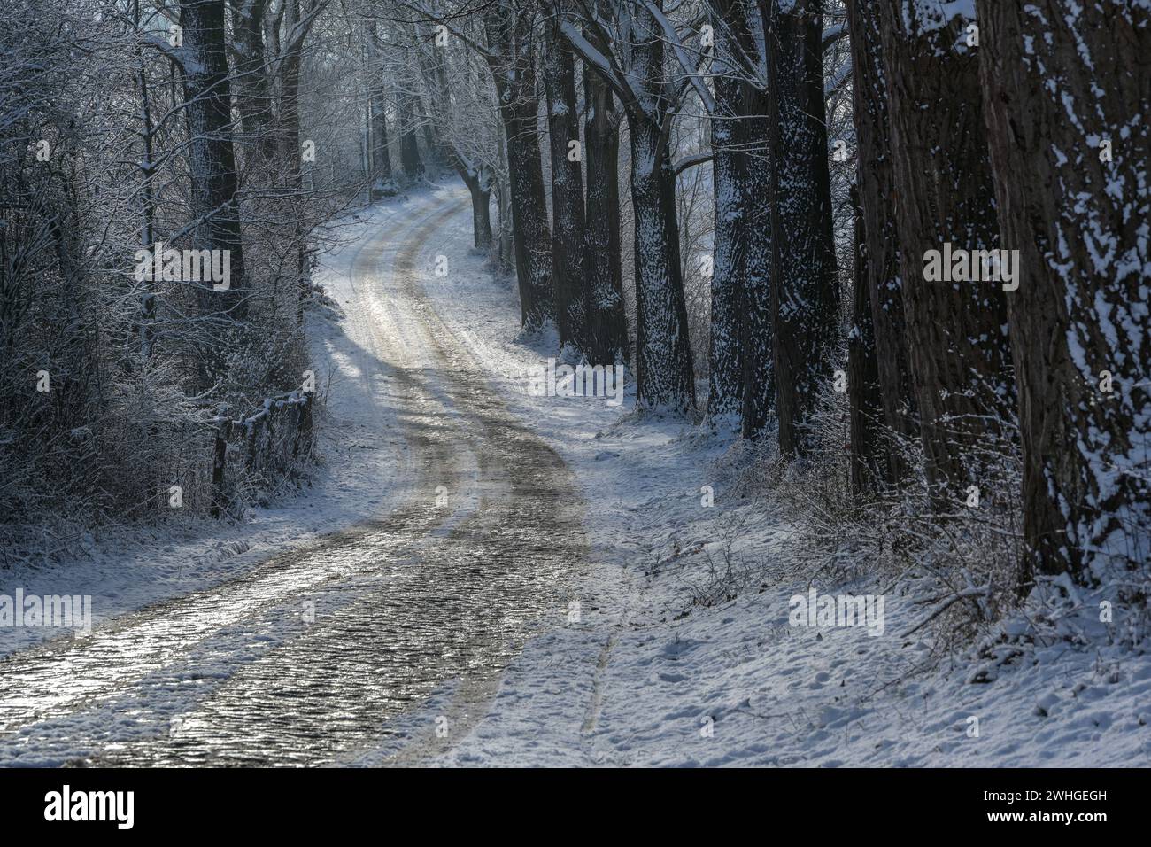 Narrow curvy country road from cobblestone in winter covered with ice ...