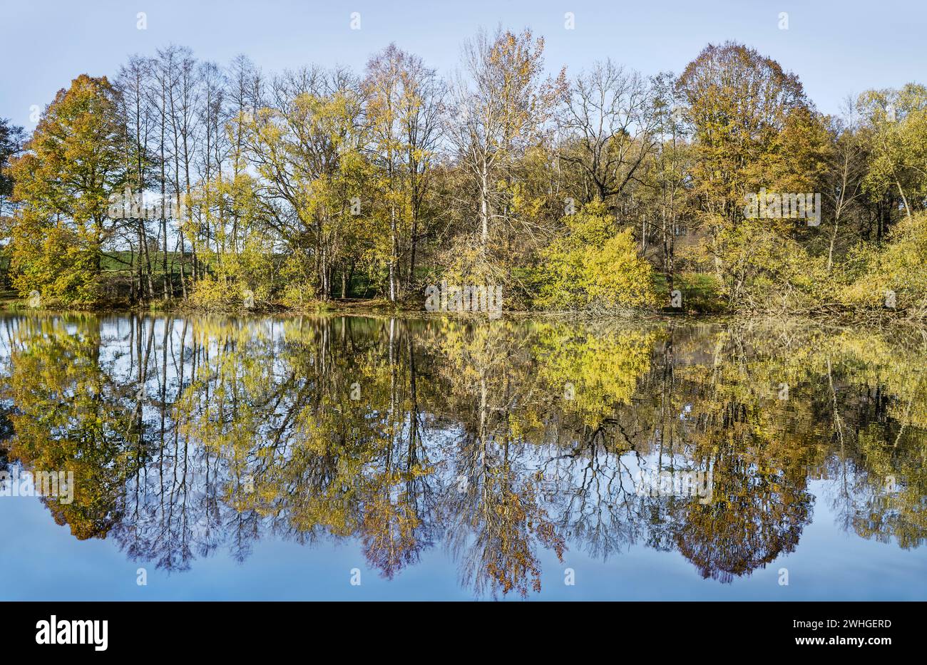 Reflections at the pond Stock Photo - Alamy