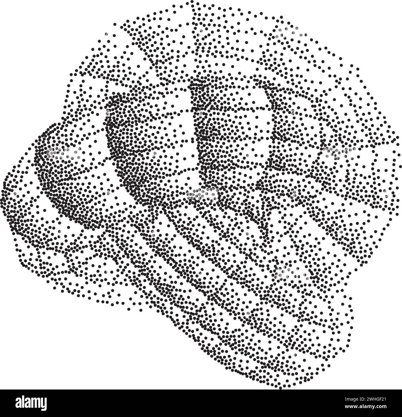 Monochrome Stippled Spiral Shell Artwork Vector Stock Vector Image ...