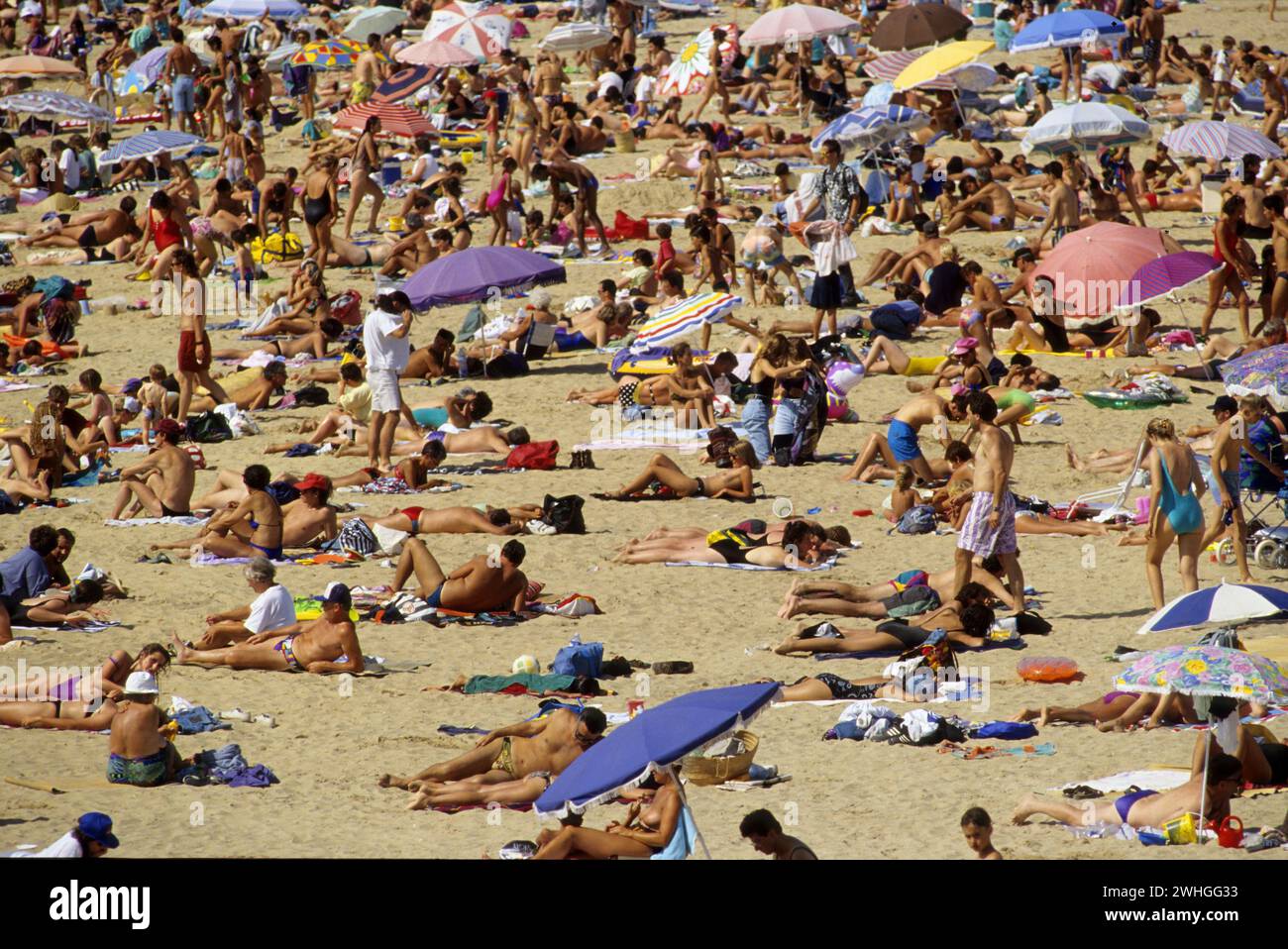 human crowd lot of people sociology demography meeting festival ...