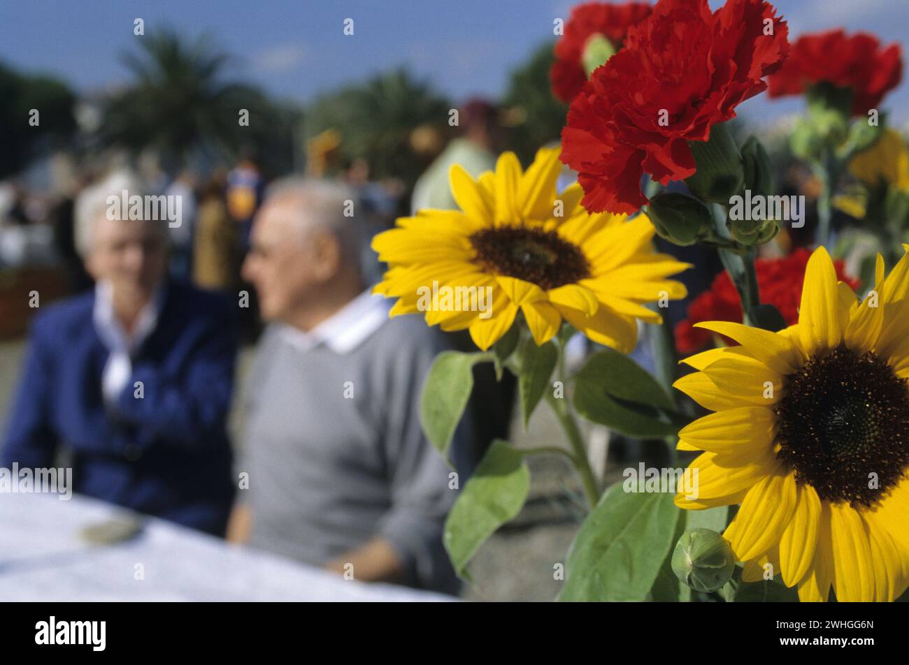 francais senior old people on table retired Stock Photo - Alamy