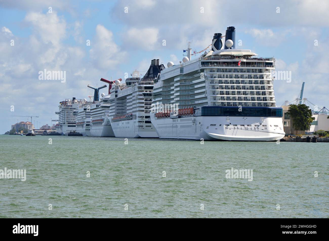 Cruise Ships in the Port of Miami, Florida Stock Photo - Alamy