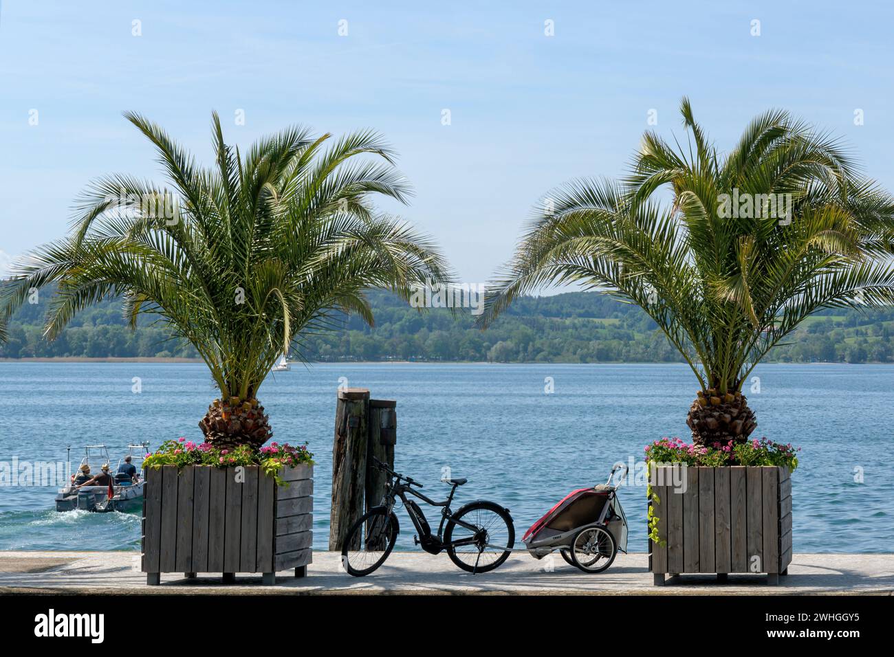 Waterfront scene, still lifes, palm trees, boat and bicycle with ...