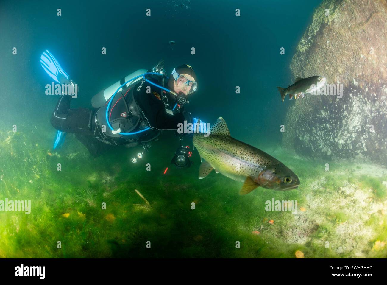 Mountain Lake - Underwater Stock Photo - Alamy