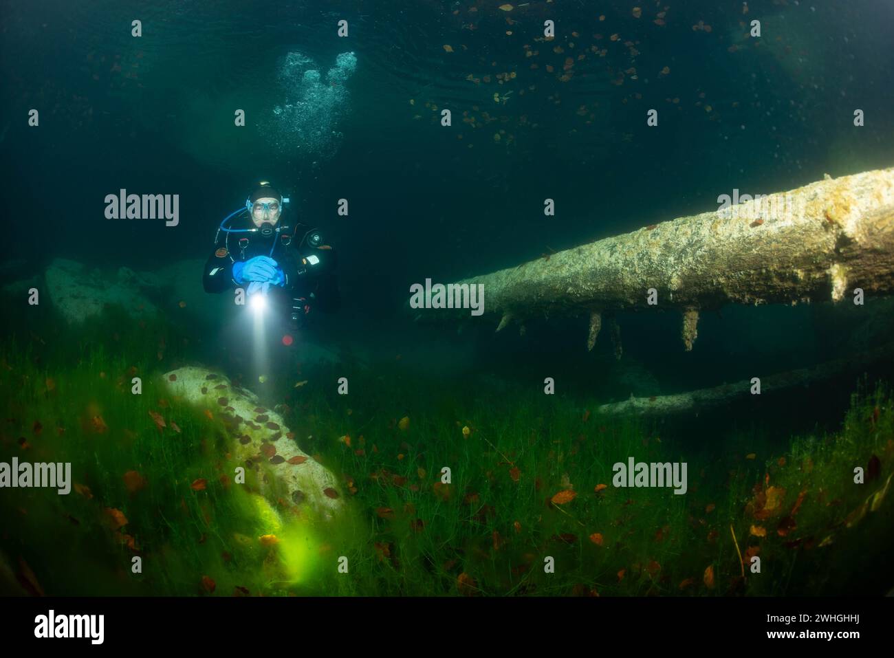 Mountain Lake - Underwater Stock Photo - Alamy