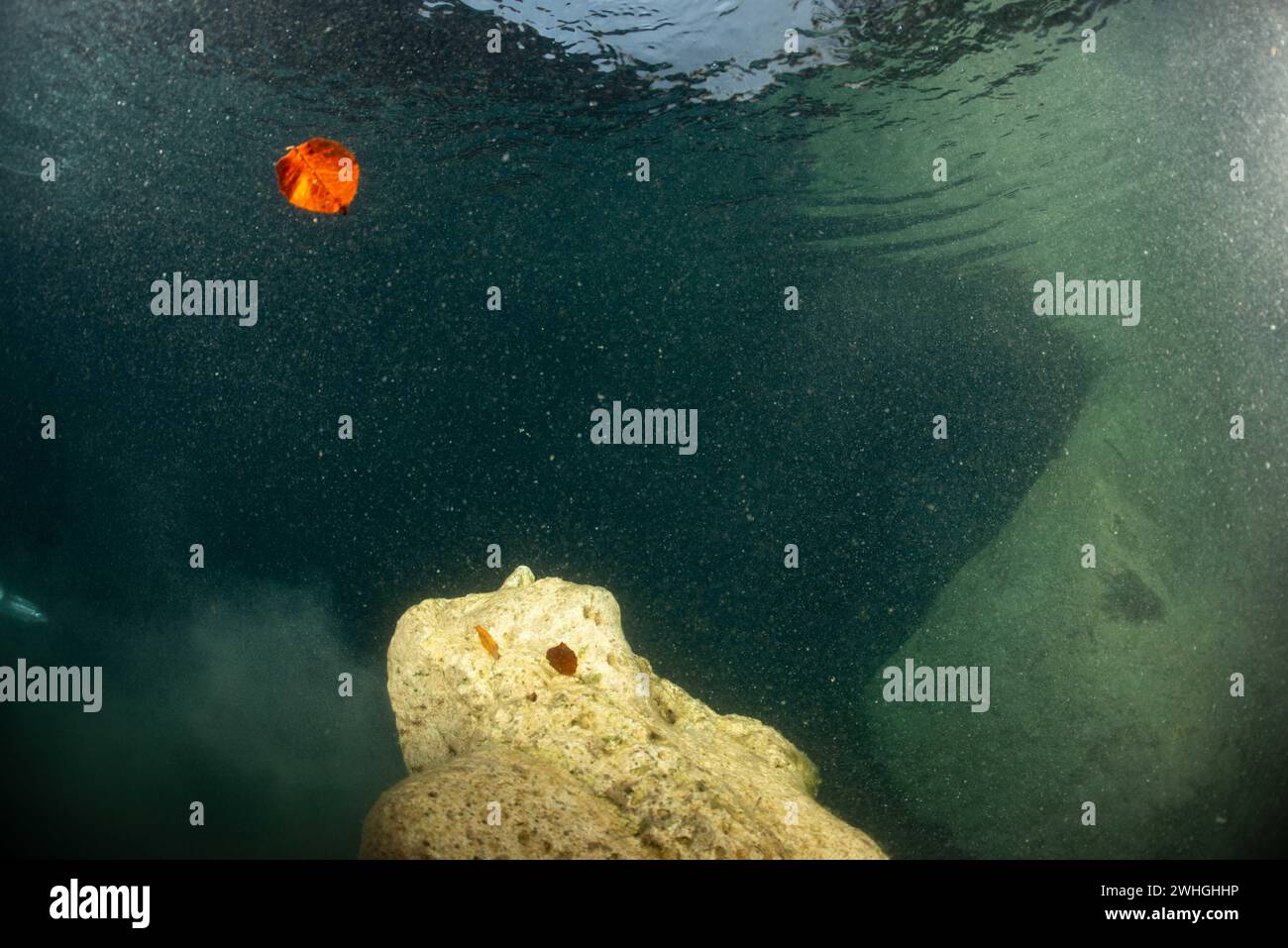 Mountain Lake - Underwater Stock Photo - Alamy