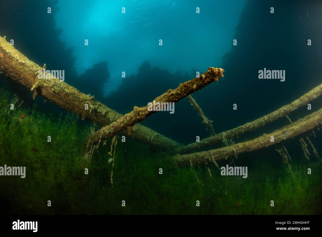 Mountain Lake - Underwater Stock Photo - Alamy