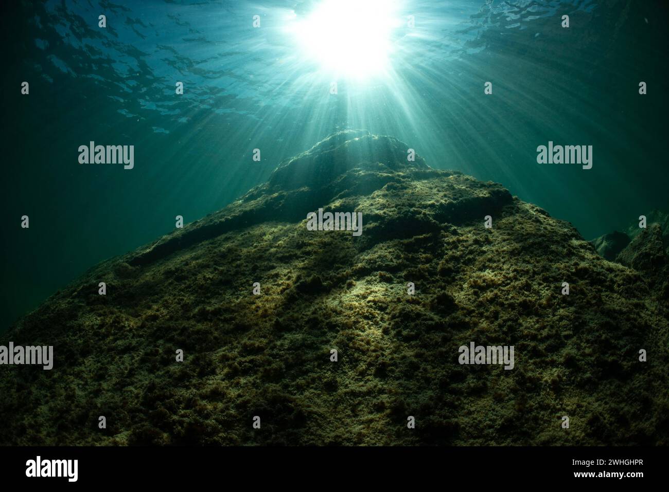 Mountain lake diving Stock Photo - Alamy