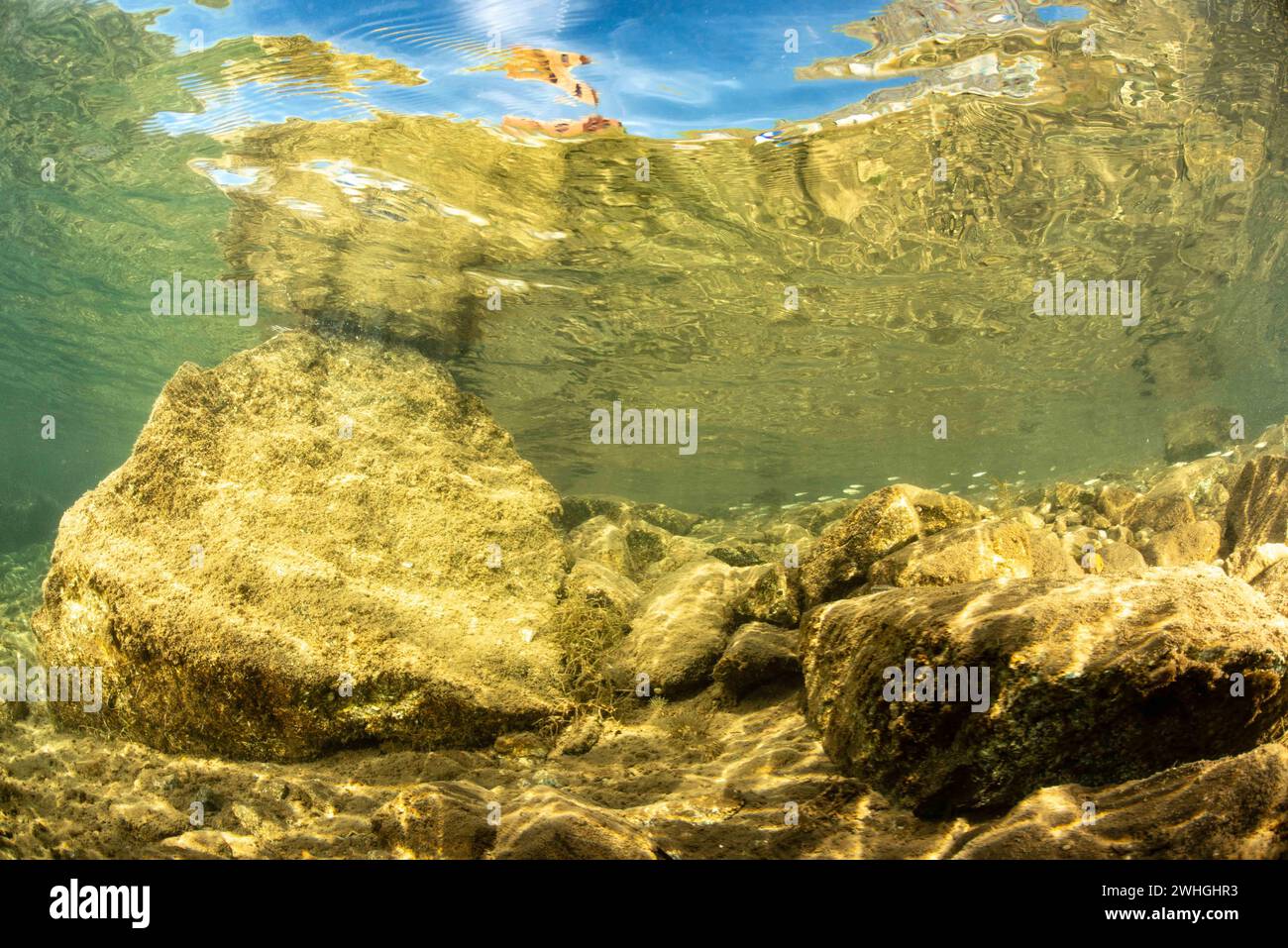 Diver mountain lake hi-res stock photography and images - Alamy