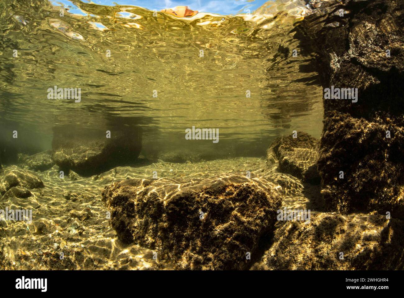 Mountain lake diving Stock Photo - Alamy
