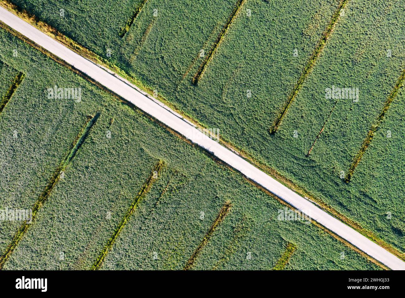 Aerial view of a field dedicated to soybean cultivation Stock Photo - Alamy