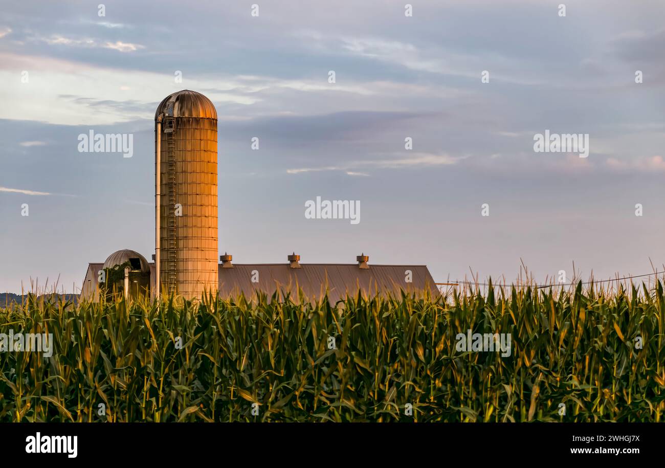 Tall silo hi-res stock photography and images - Alamy