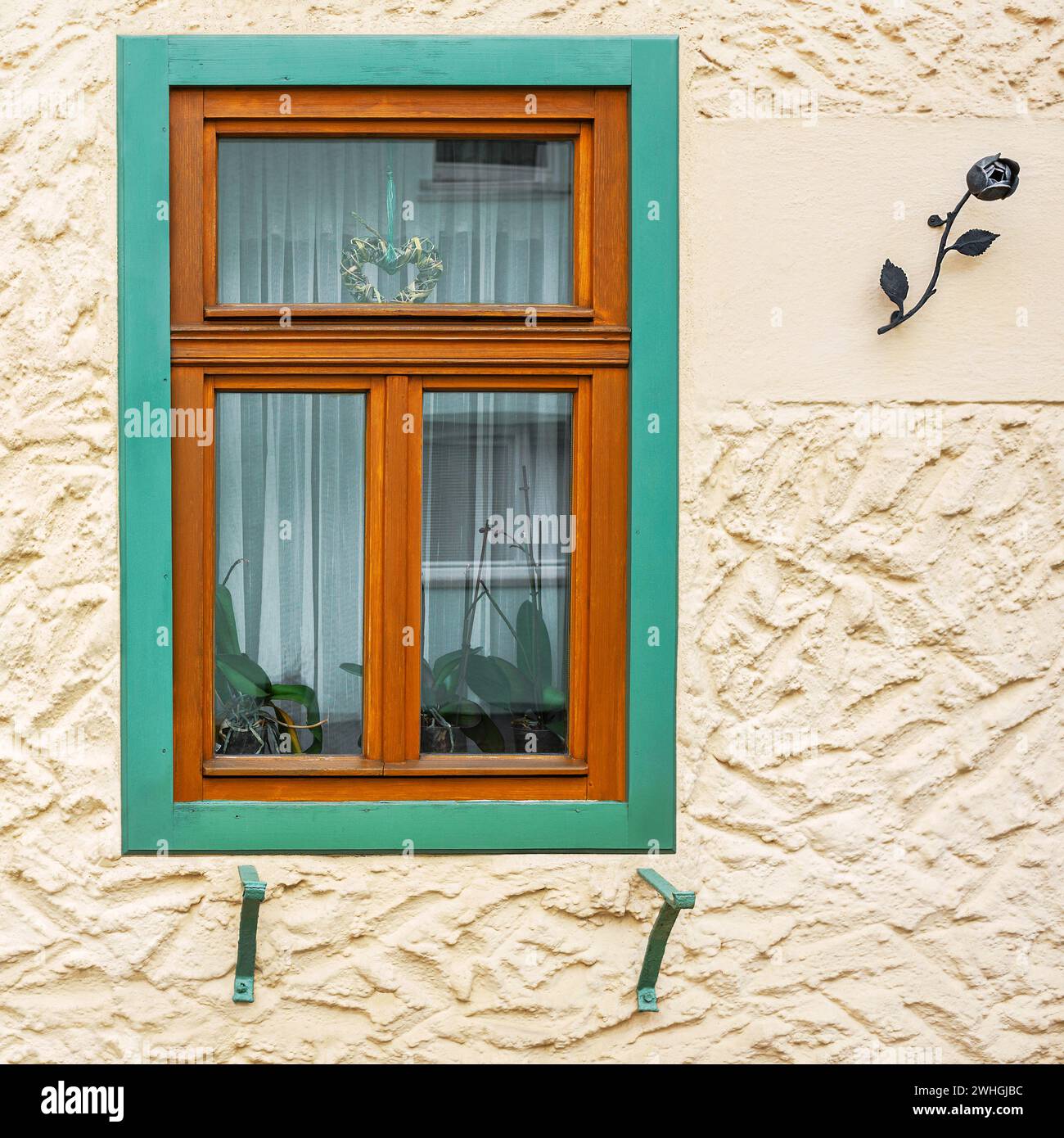 Rose paint colour hi-res stock photography and images - Alamy