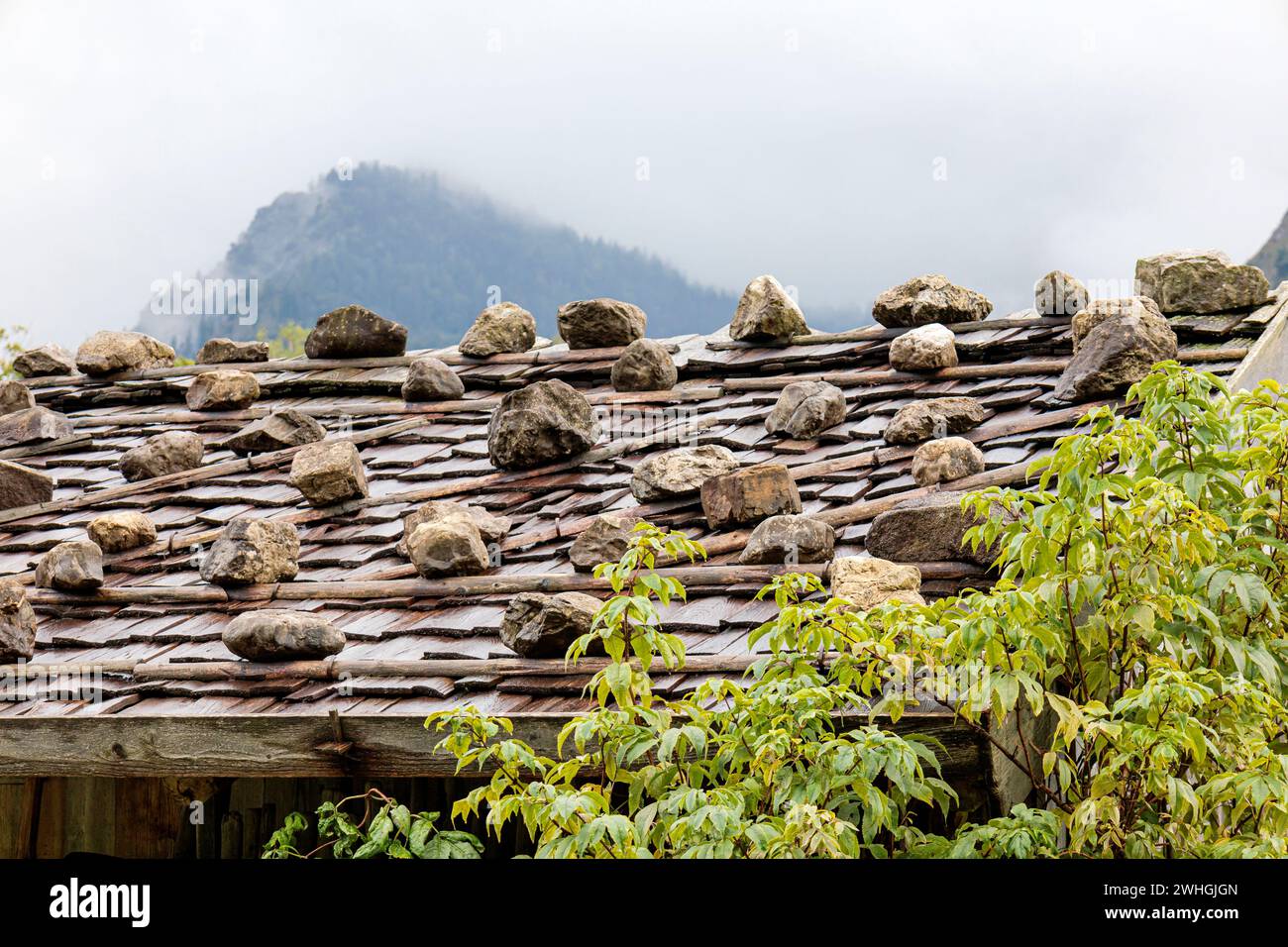 Shingle roof in the rain, Bavarian Alps, September Stock Photo - Alamy