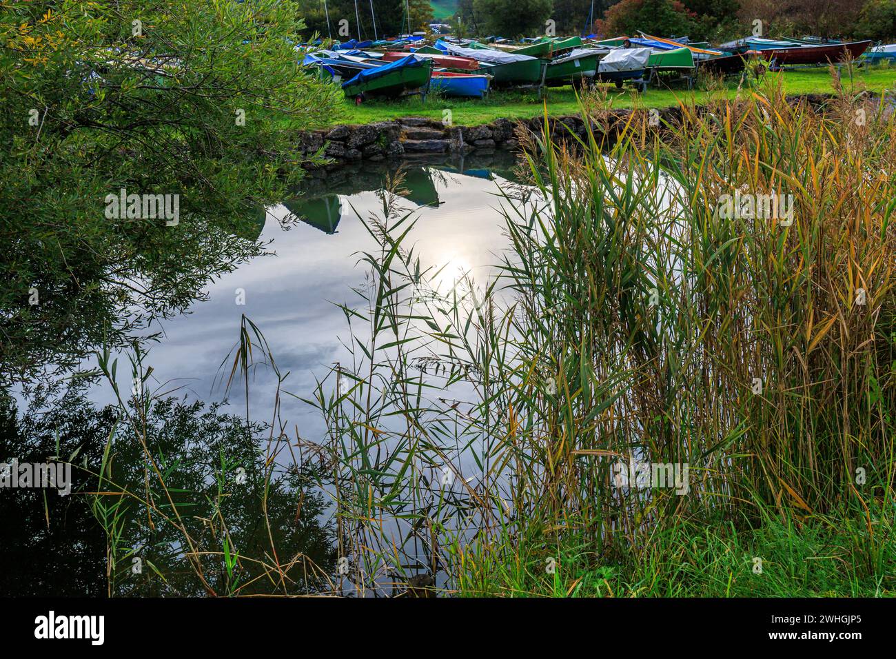 Morning sun on the water Stock Photo - Alamy
