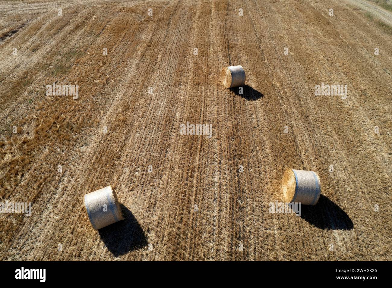 Agriculture round bale hi-res stock photography and images - Alamy