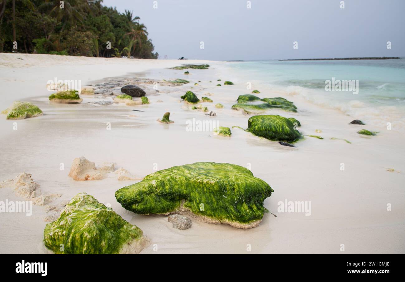 Rocks and beautiful environment hi-res stock photography and images - Alamy