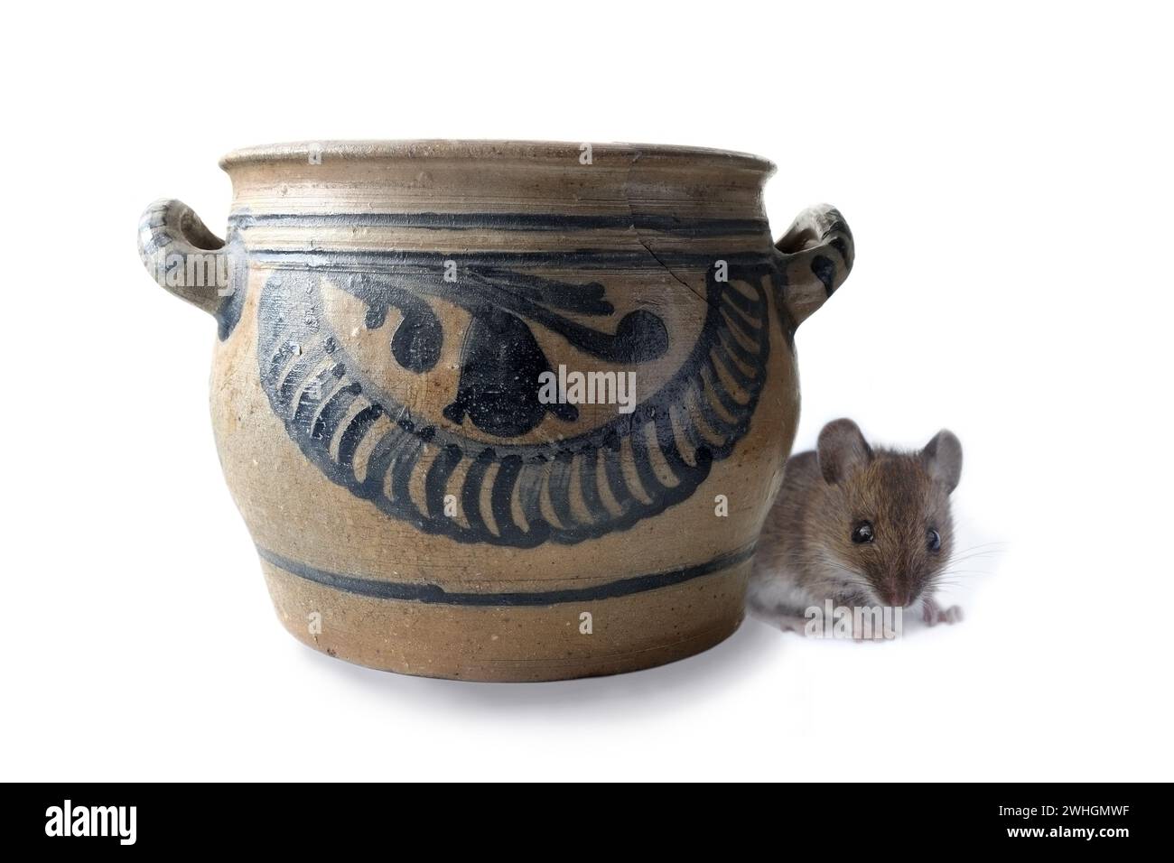 Land behind Cut Out Stock Images & Pictures - Alamy