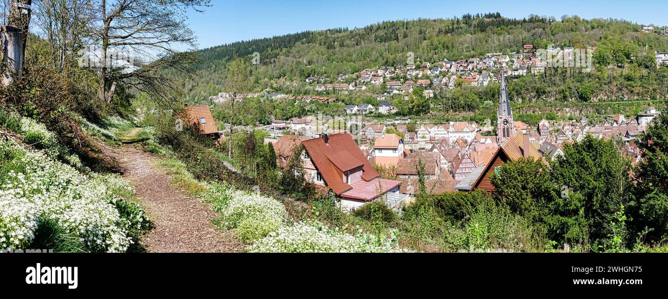 Counts of calw hi-res stock photography and images - Alamy