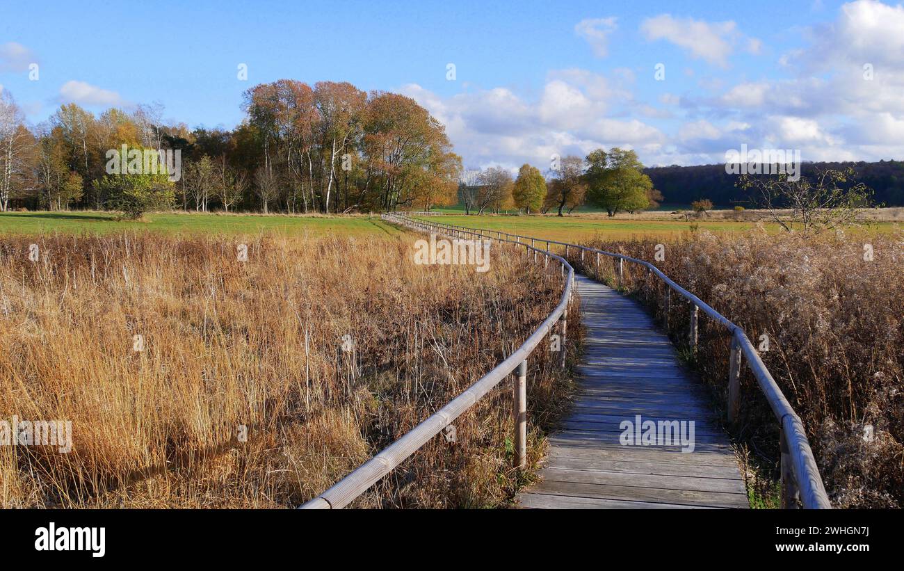 Hiking trail through the Schopflocher Moor Stock Photo - Alamy