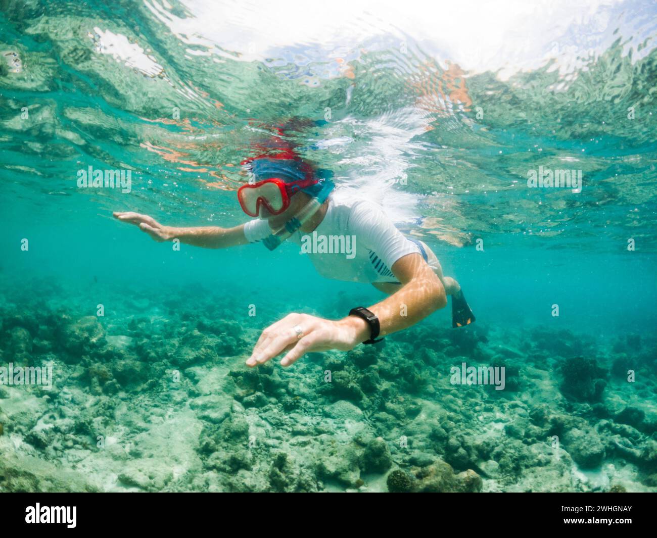 Snorkeling family hi-res stock photography and images - Alamy