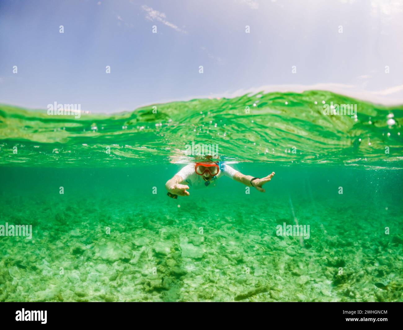 Undersea world pictures hi-res stock photography and images - Alamy