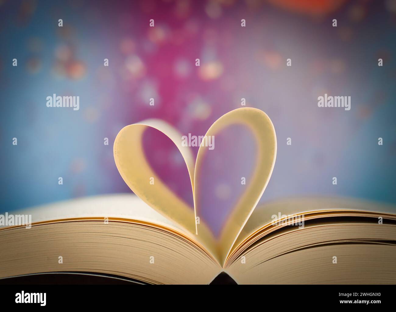 Booklove hi-res stock photography and images - Alamy