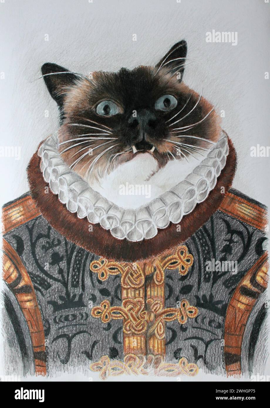 portrait of a cat in the costume of an aristocrat - Burmese cat as a ...