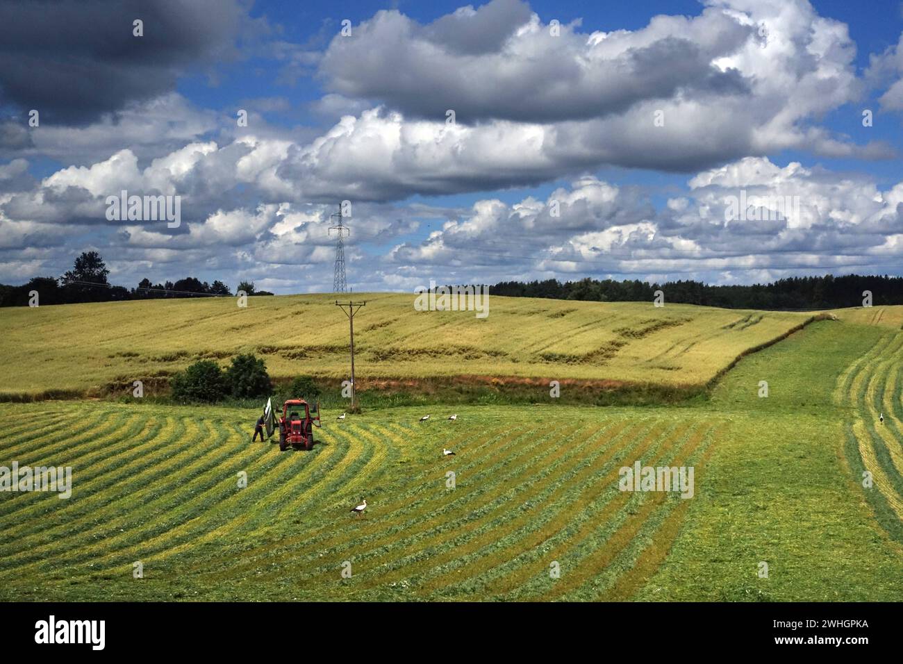 Traktor bei der heuernte hi-res stock photography and images - Alamy