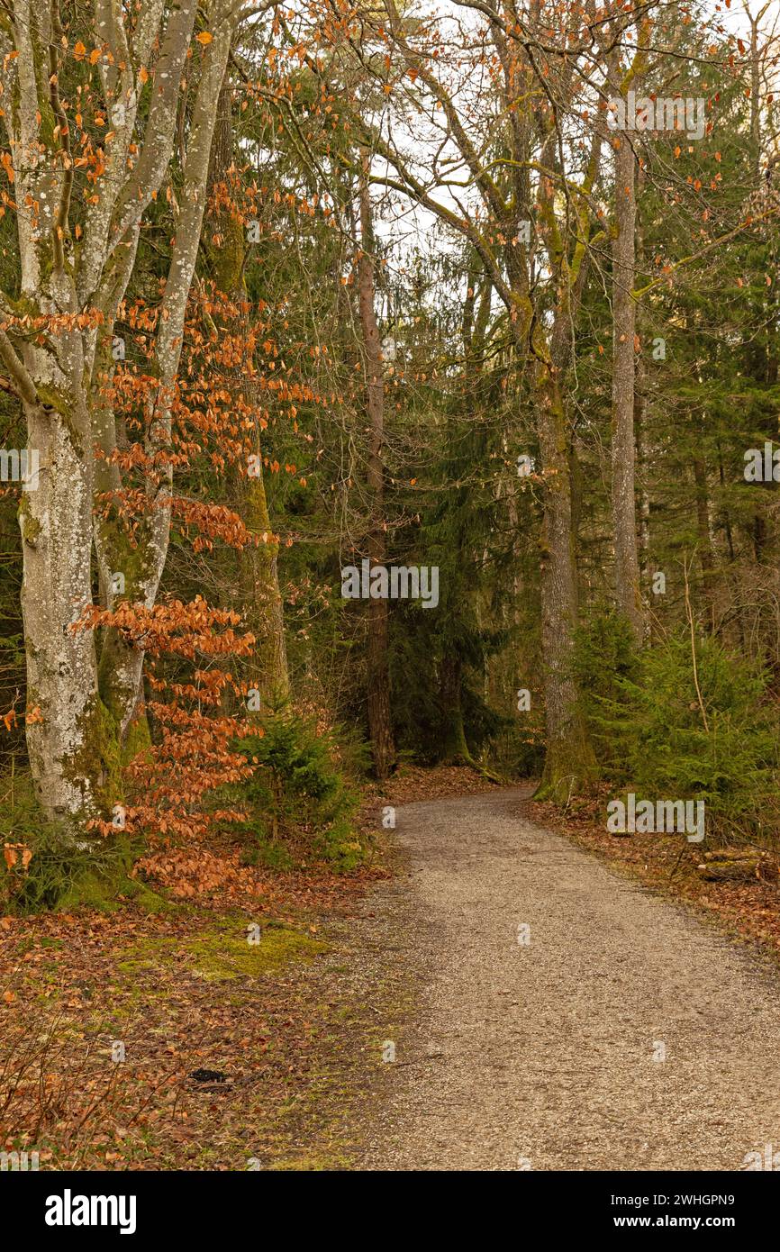 Rustic hiking trails hi-res stock photography and images - Alamy