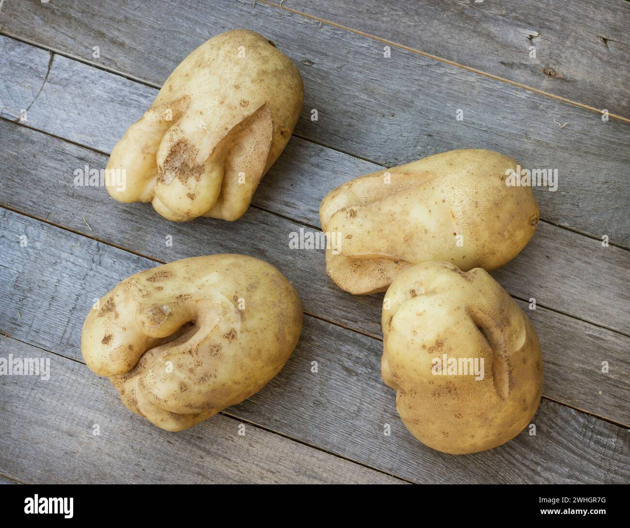 On table lies cracked hi-res stock photography and images - Alamy